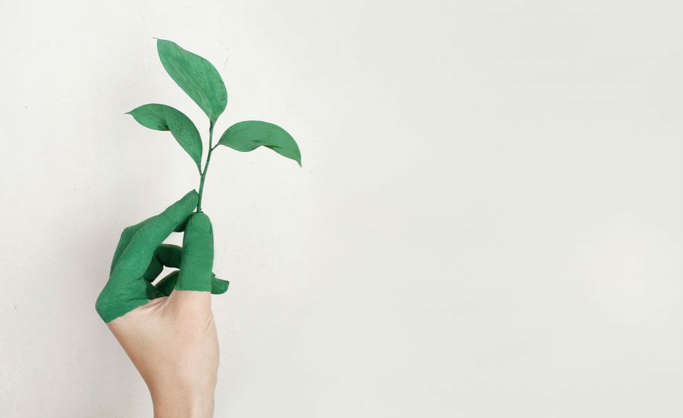 ¿Qué es la Inversión sostenible y la integración de criterios ASG ...